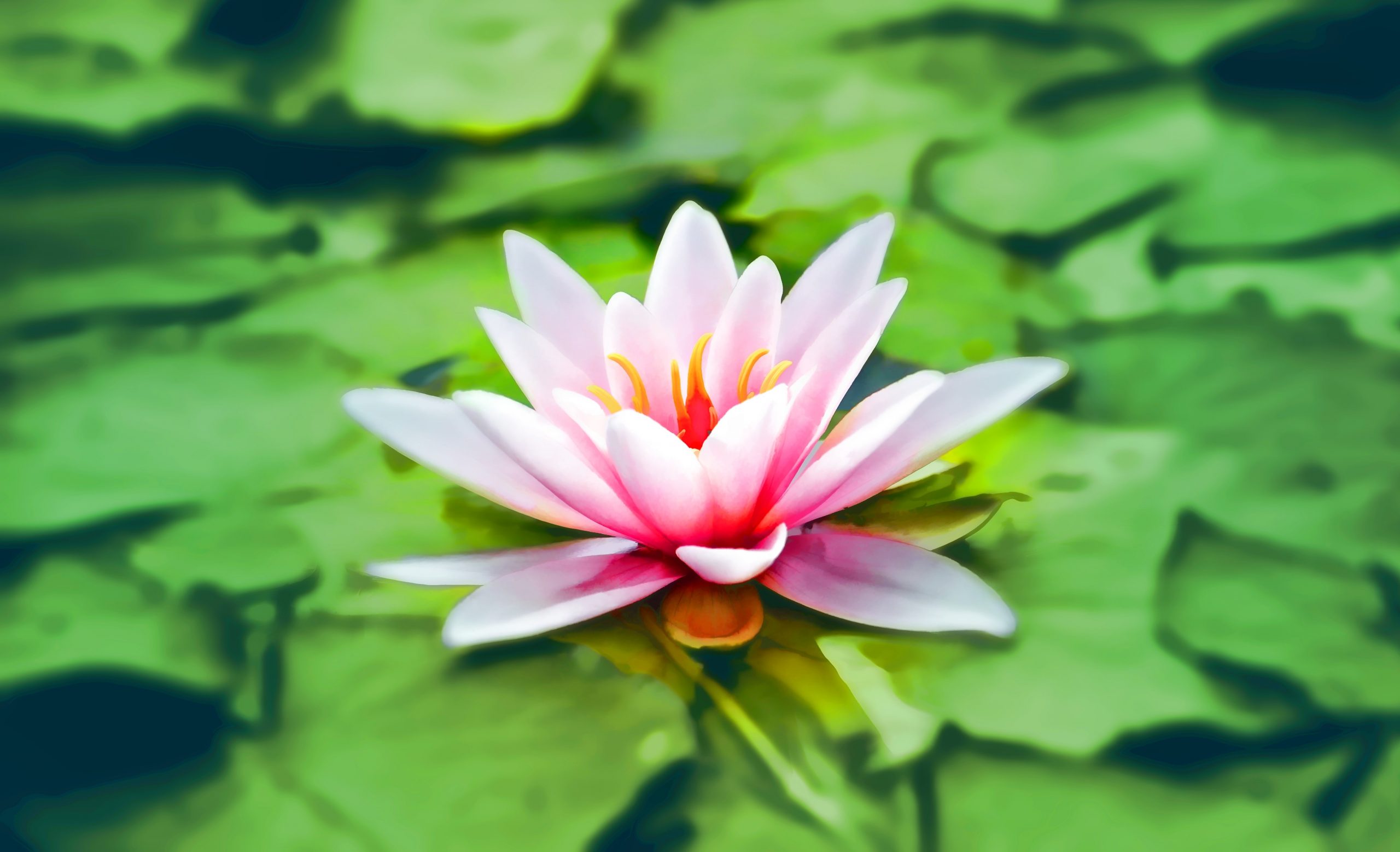 Fee Schedule Turning Point Reiki Fee Schedule Turning Point Reiki